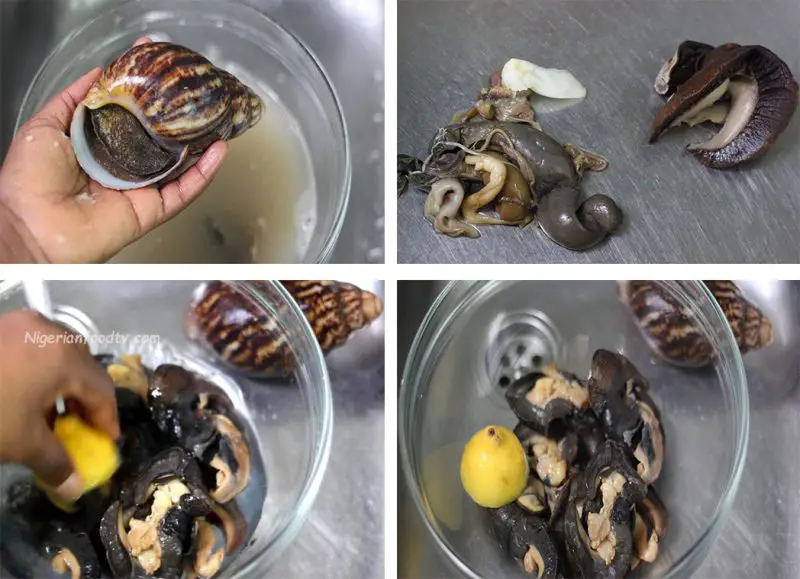 Peppered Snail Recipe – Nigerian Food TV
